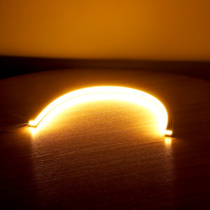 Premium LED Neon Tube Lights - ledsdo.com LED Neon Light Strips